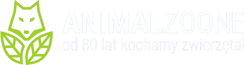 Najczęstsze choroby skóry u psa - przyczyny, objawy i profilaktyka ...